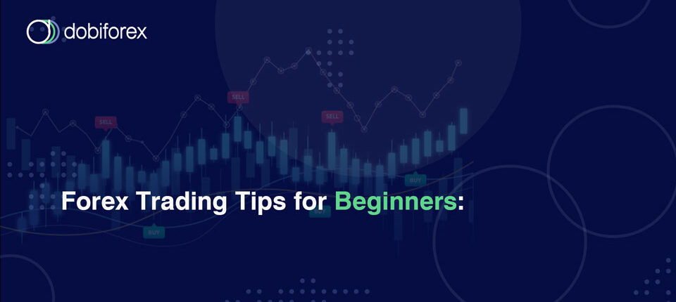 Forex Trading Tips for Beginners - Dobiforex